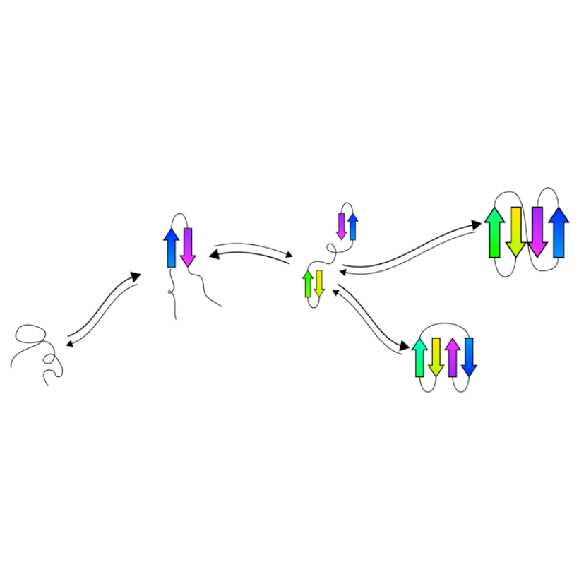 Bioinformatics & Games